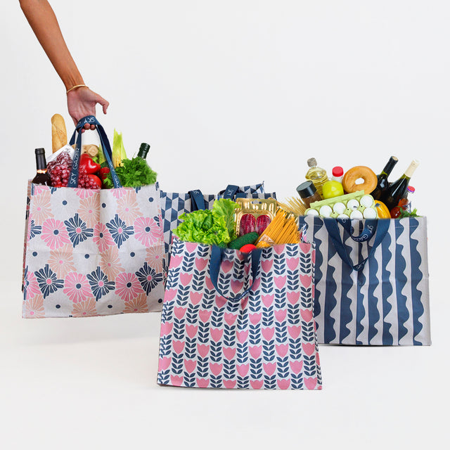 Multi-Use Reusable Bags (Pack of 4) – Sky Gazer