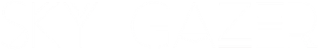 2-in-1 Luxe Shoulder Bag & Matching Clutch- Black – Sky Gazer