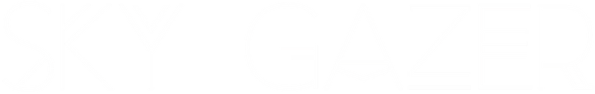 2-in-1 Luxe Shoulder Bag & Matching Clutch- Black – Sky Gazer